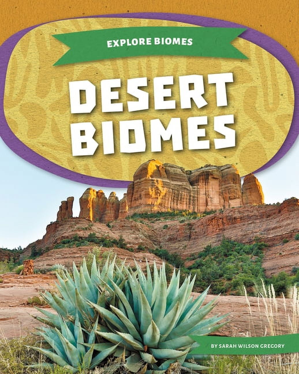 Explore Biomes Desert Biomes, (Hardcover) - Walmart.com