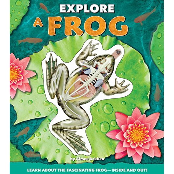 Kindergators Hands Off, Harry!, (Hardcover) - Walmart.com