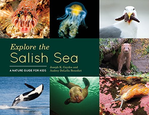 Pre-Owned Explore the Salish Sea: A Nature Guide for Kids (Hardcover ...
