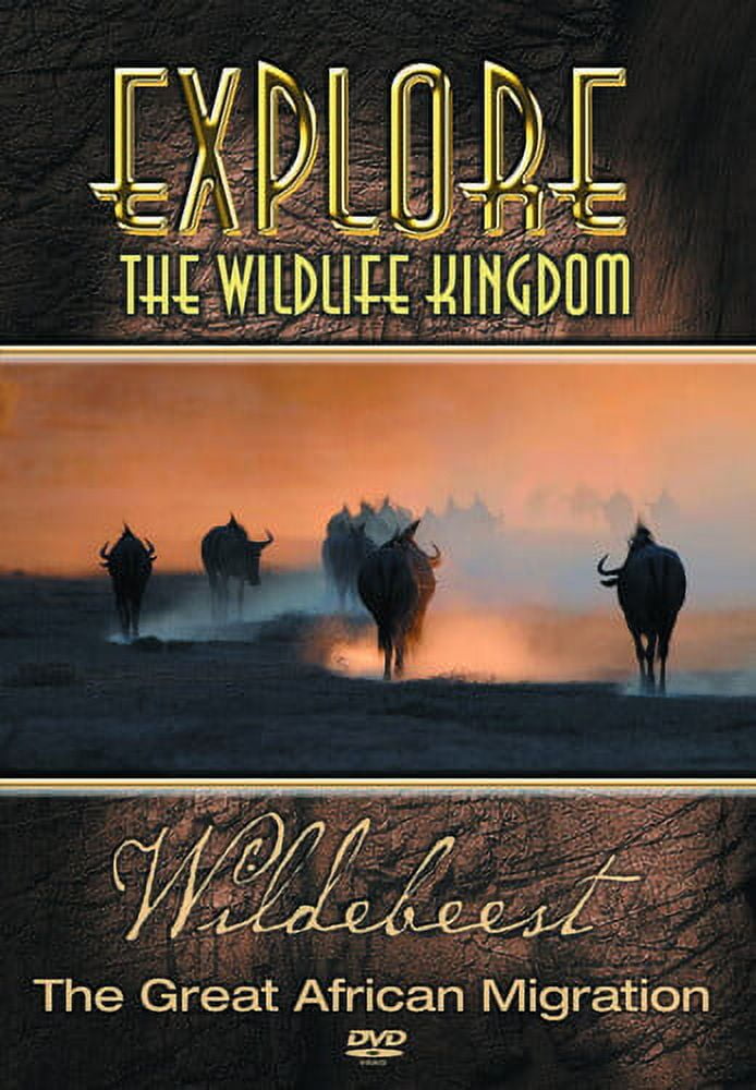 Explore the Wildlife Kingdom: Wildebeest the Great African Migration ...