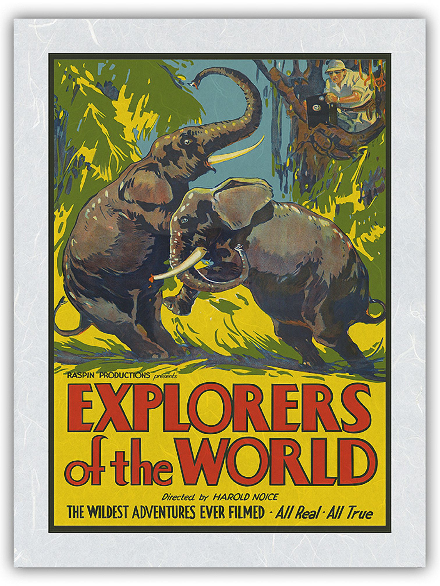Explorers of The World - Wildest Adventures Ever Filmed - Fighting Bull ...