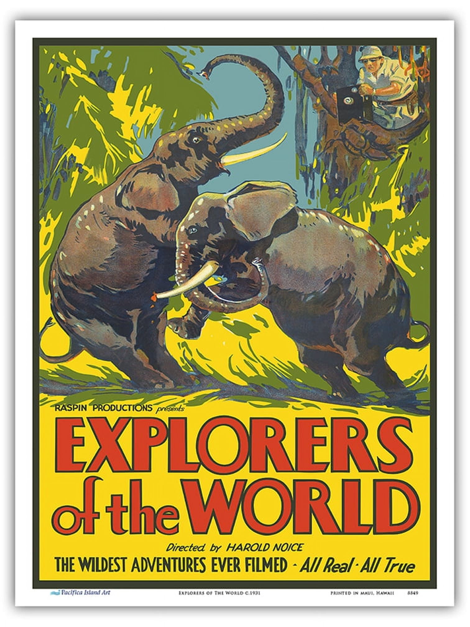 Explorers of The World - Wildest Adventures Ever Filmed - Fighting Bull Elephants - Vintage Film ...