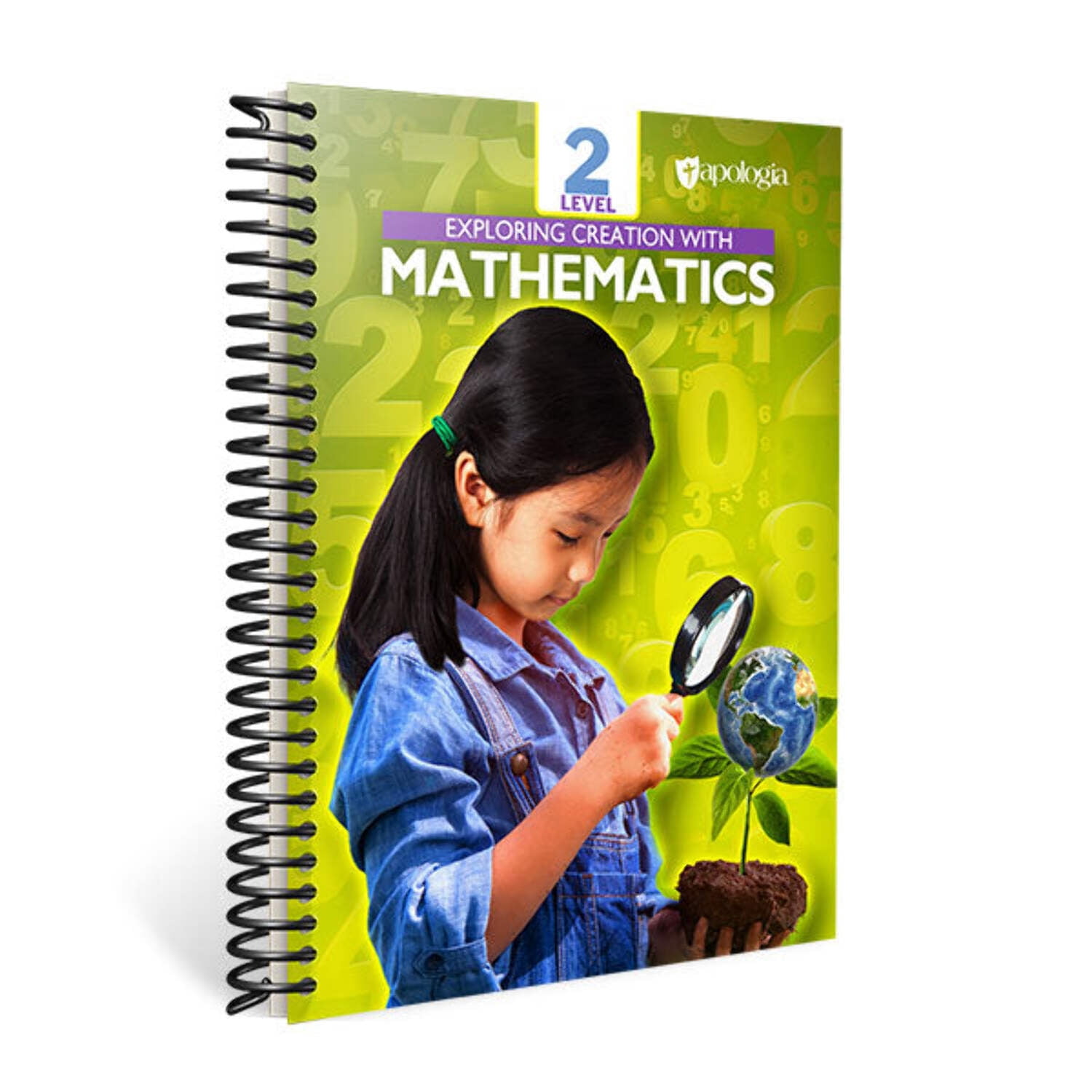 Mathematics 2 Student Text - Walmart.com