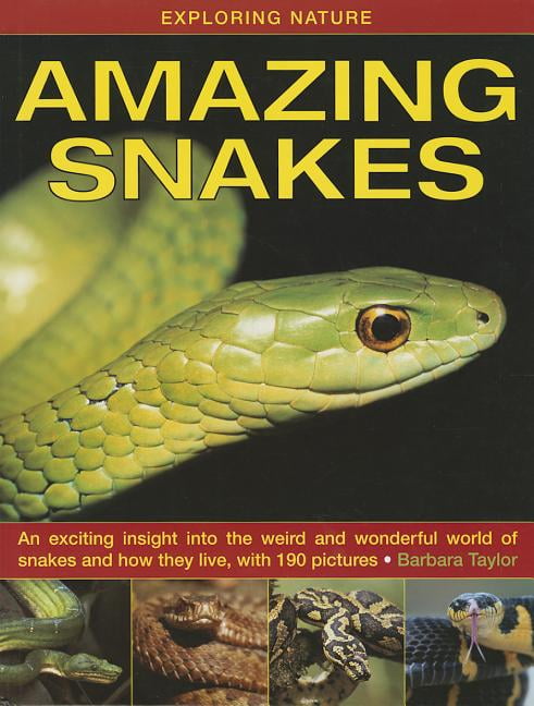 Exploring Nature: Amazing Snakes : An Exciting Insight Into the Weird ...