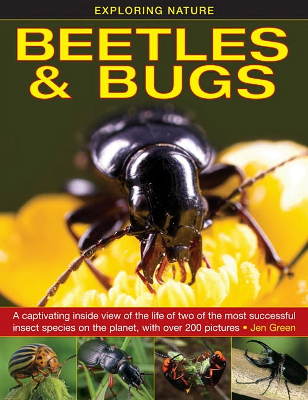 Exploring Nature: Beetles & Bugs : A Captivating Inside View Of The ...