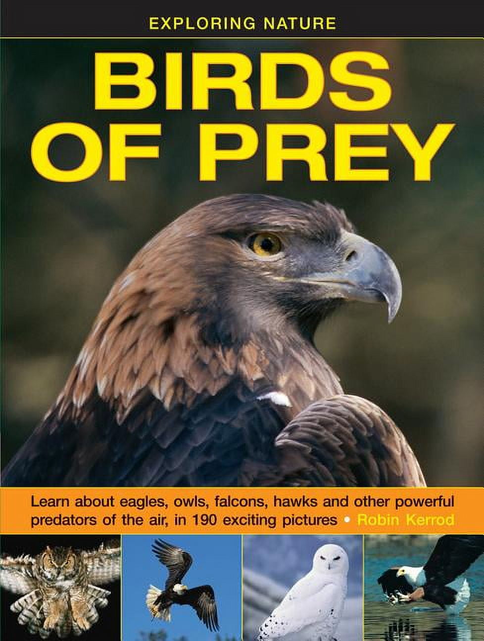 Exploring Nature: Birds of Prey : Learn About Eagles, Owls, Falcons ...