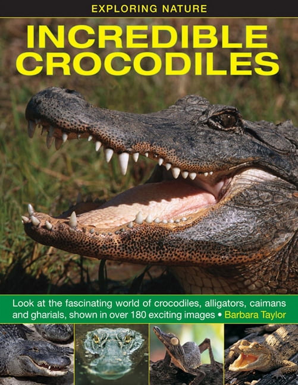 Exploring Nature Incredible Crocodiles Look At The Fascinating World