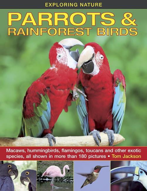 Exploring Nature: Parrots & Rainforest Birds : Macaws, Hummingbirds ...