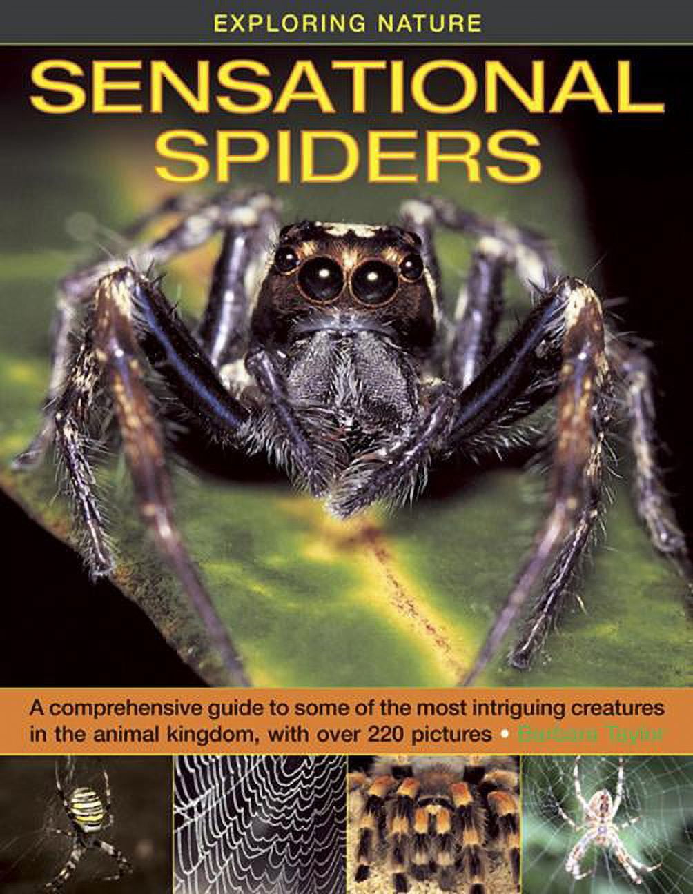 Exploring Nature: Sensational Spiders : A comprehensive guide to some ...