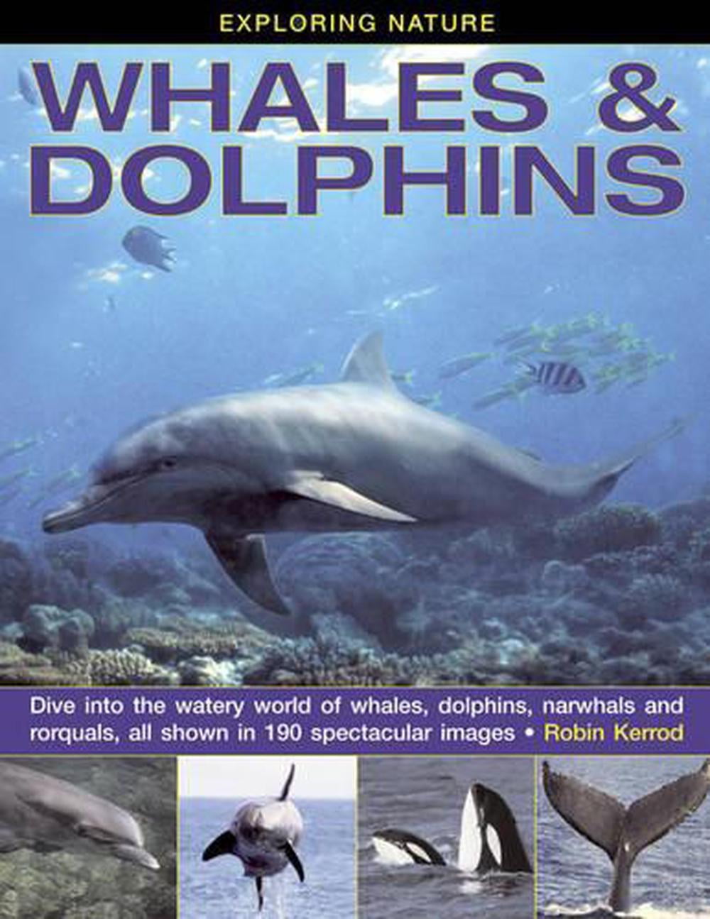 Exploring Nature: Whales & Dolphins : Dive Into the Watery World of Whales, Dolphins, Narwhals ...