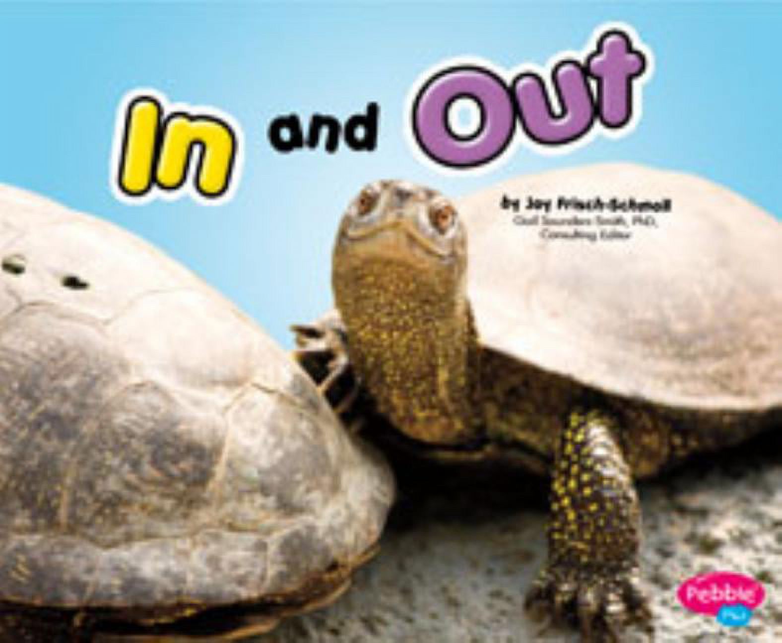 Exploring Opposites: In and Out (Paperback) - Walmart.com