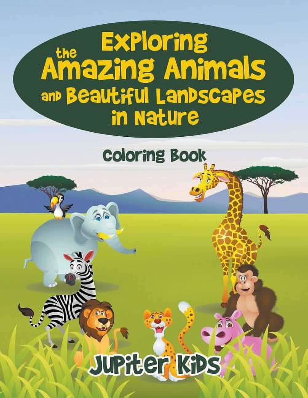 Exploring the Amazing Animals and Beautiful Landscapes in Nature ...