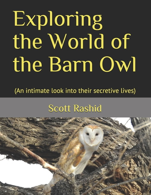 Exploring the World of the Barn Owl: (An intimate look into their ...