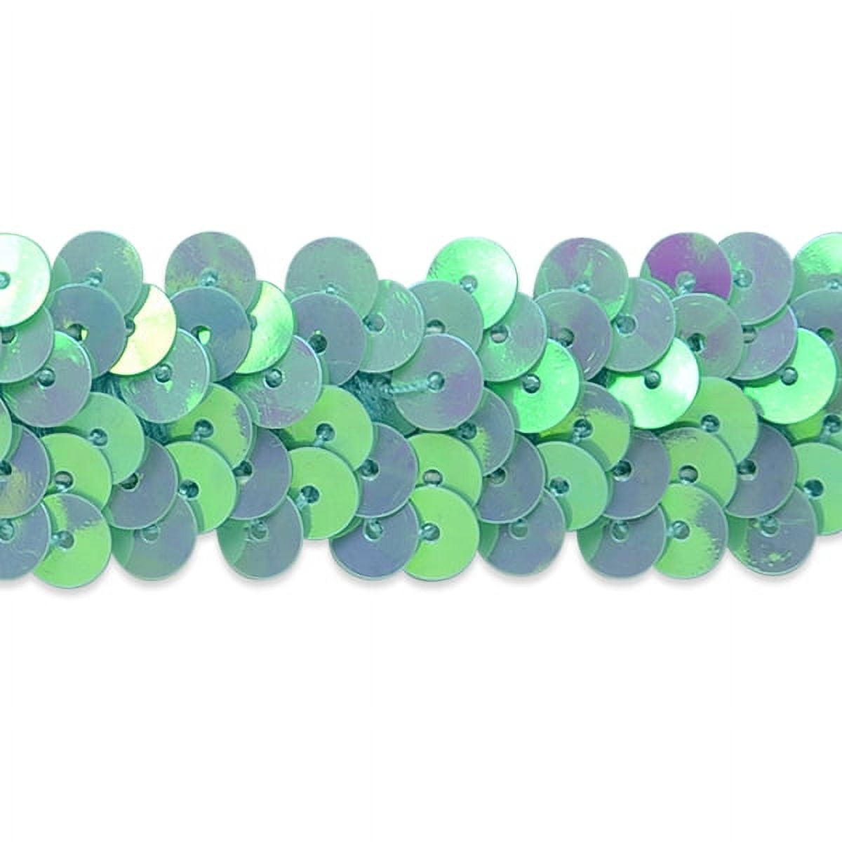 Expo Int'l 20 yards of 2 Row 7/8" Metallic Stretch Sequin Trim ...