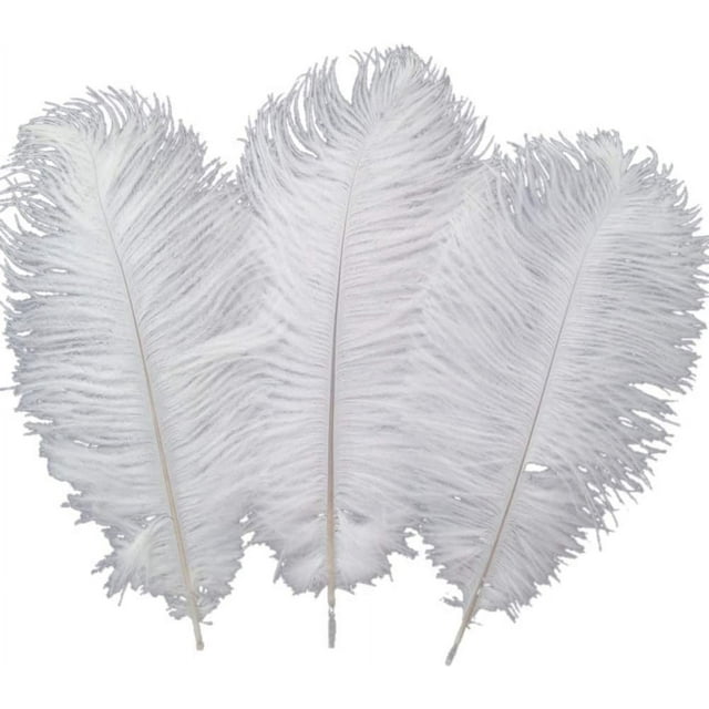 Ostrich Feather Decoration 45-50cm Ostrich Feather Wedding Performance ...