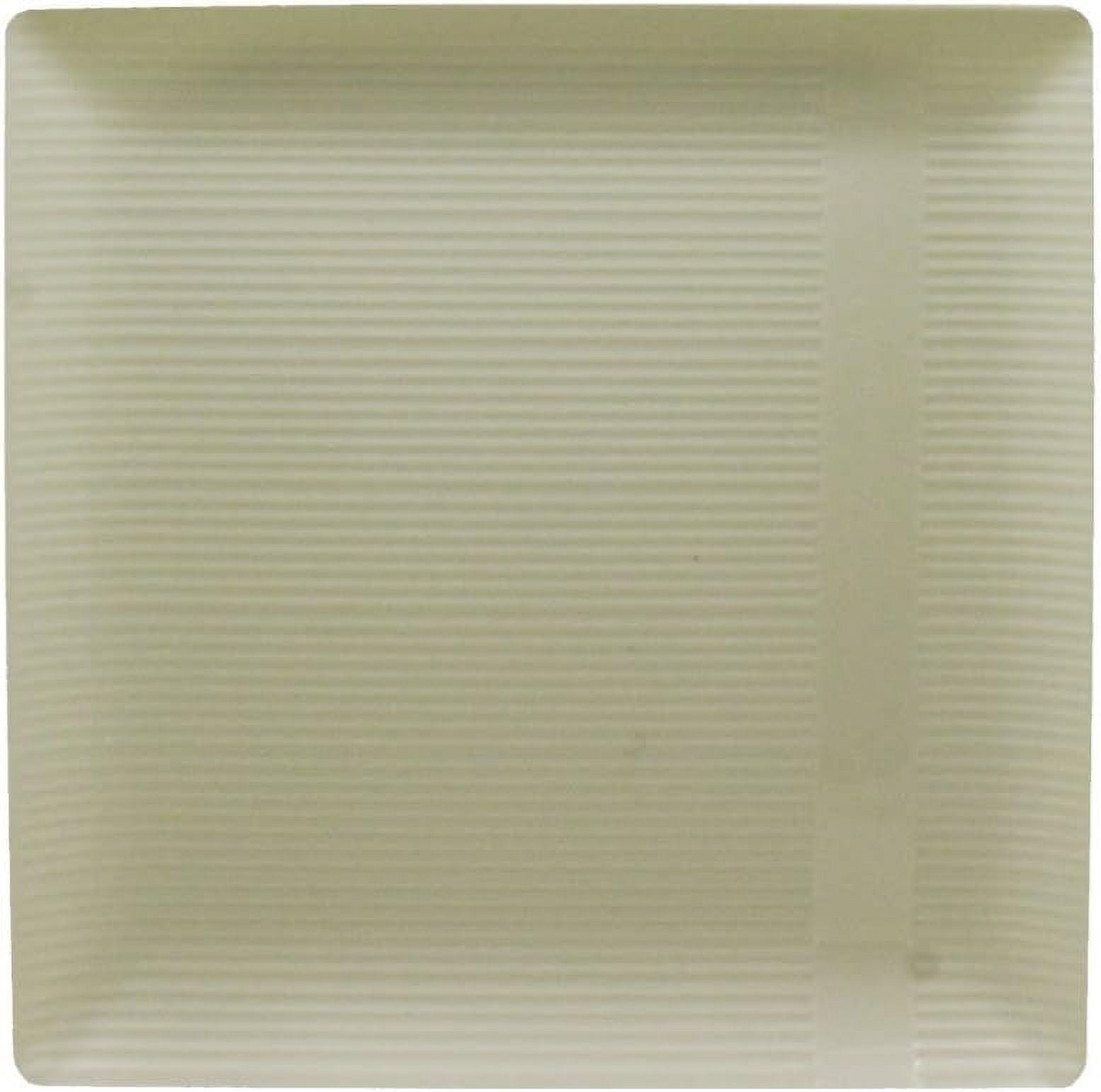 Exquisite - 6.5 Inch Sushi/Appetizer Plates, Premium Plastic Dessert ...