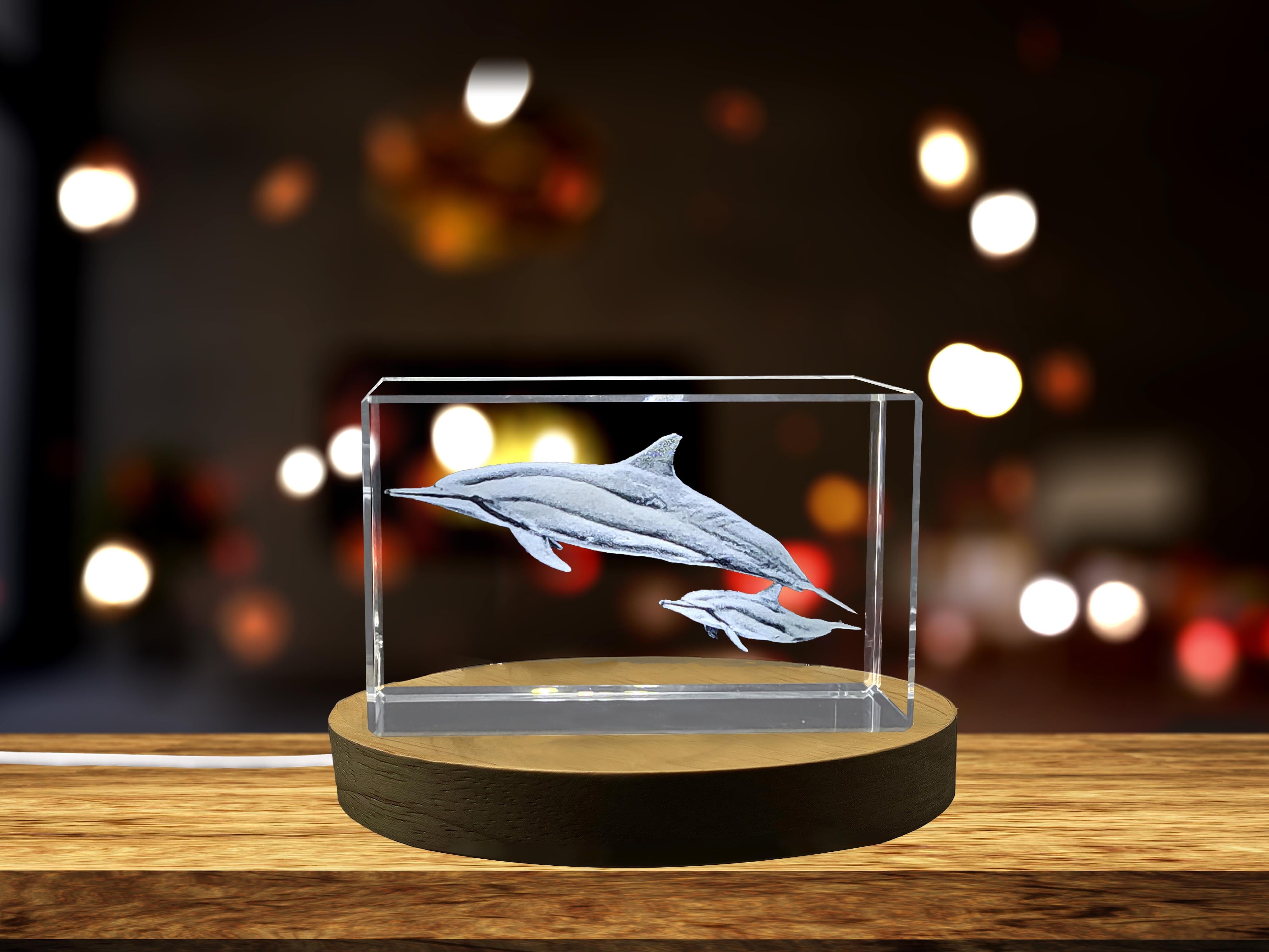 Exquisite Spinner Dolphin Sculpted in Shimmering Crystal Collectible ...