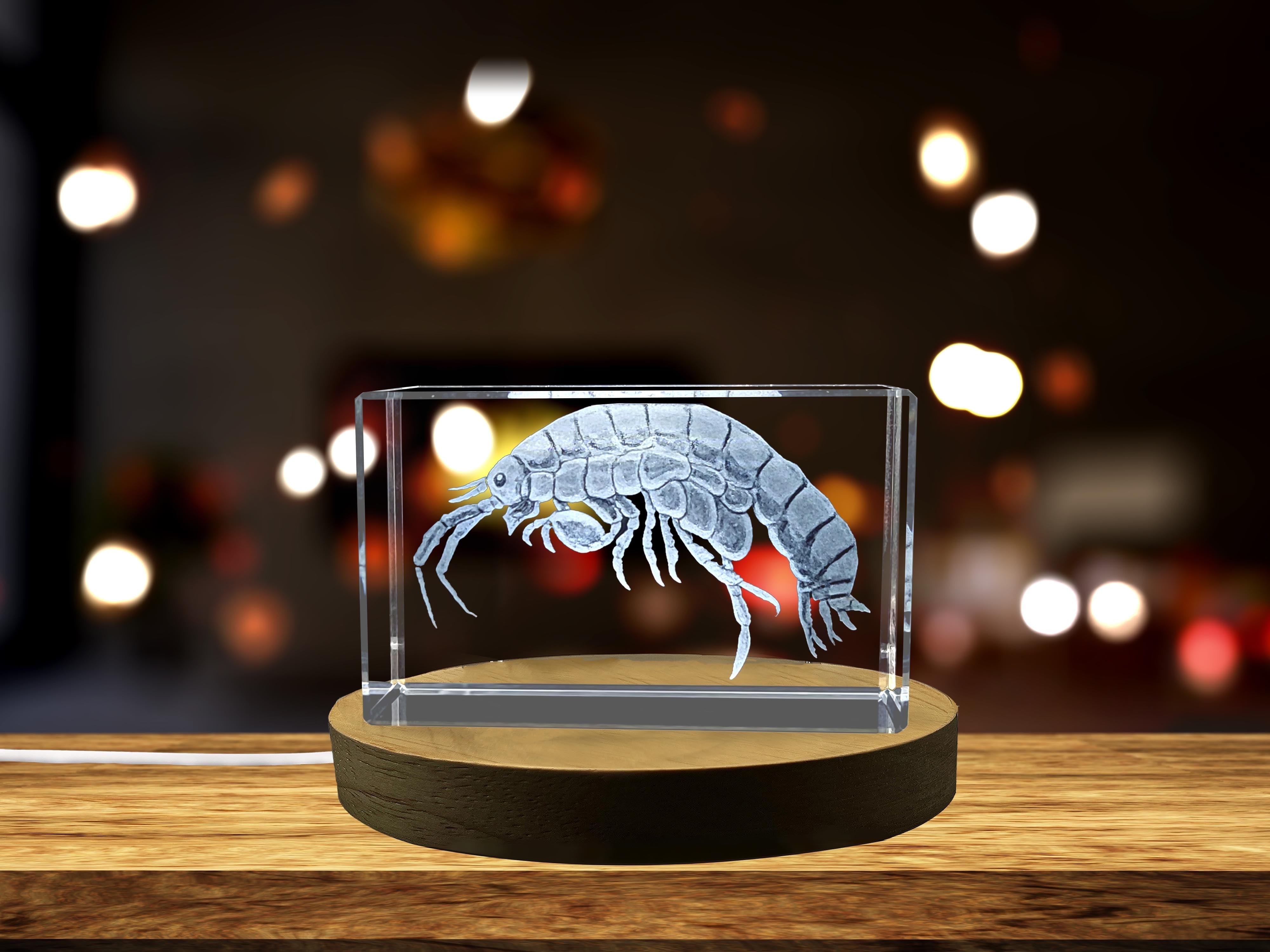 Exquisitely 3D Engraved Sand Hopper Crystal Sculpture - Walmart.com
