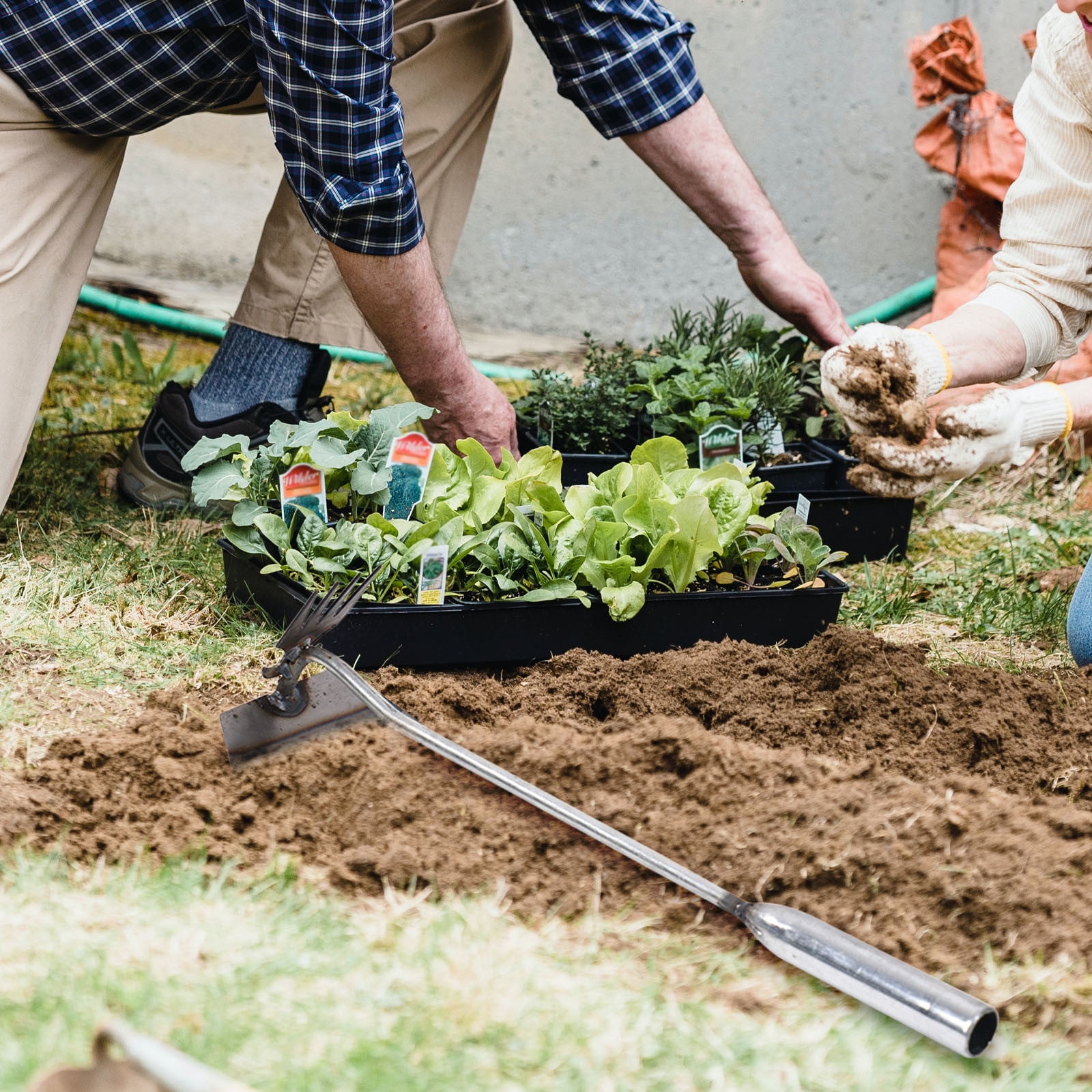Extended Purpose Gardening Hoe, 50cm Galvanized Handle, Heavy Duty ...