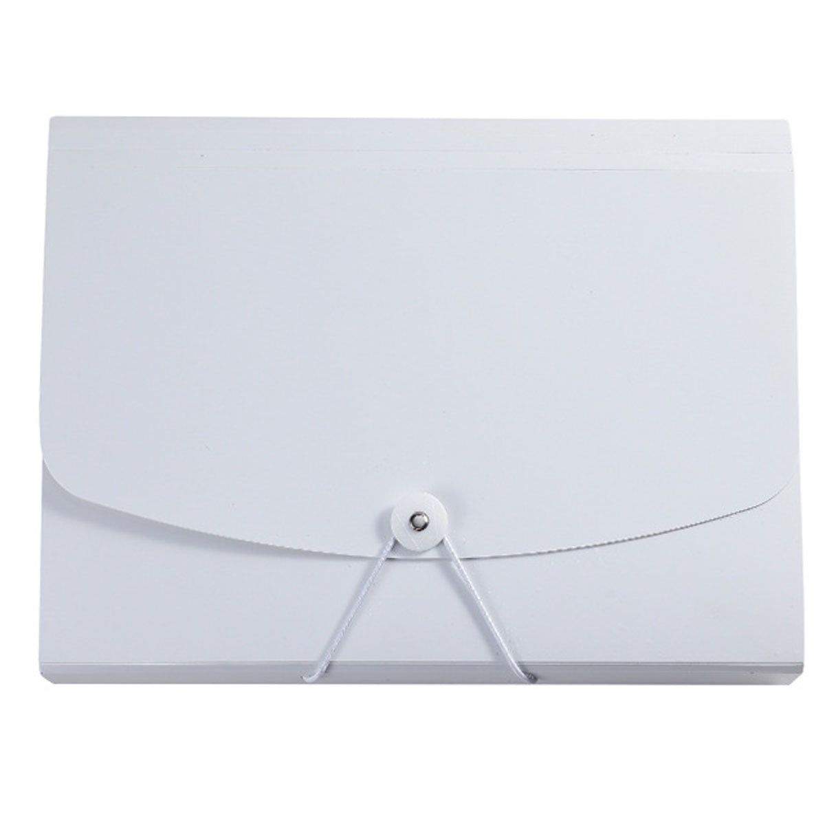 Extended folder Receipts Organizer Folder Accordion folder files with ...