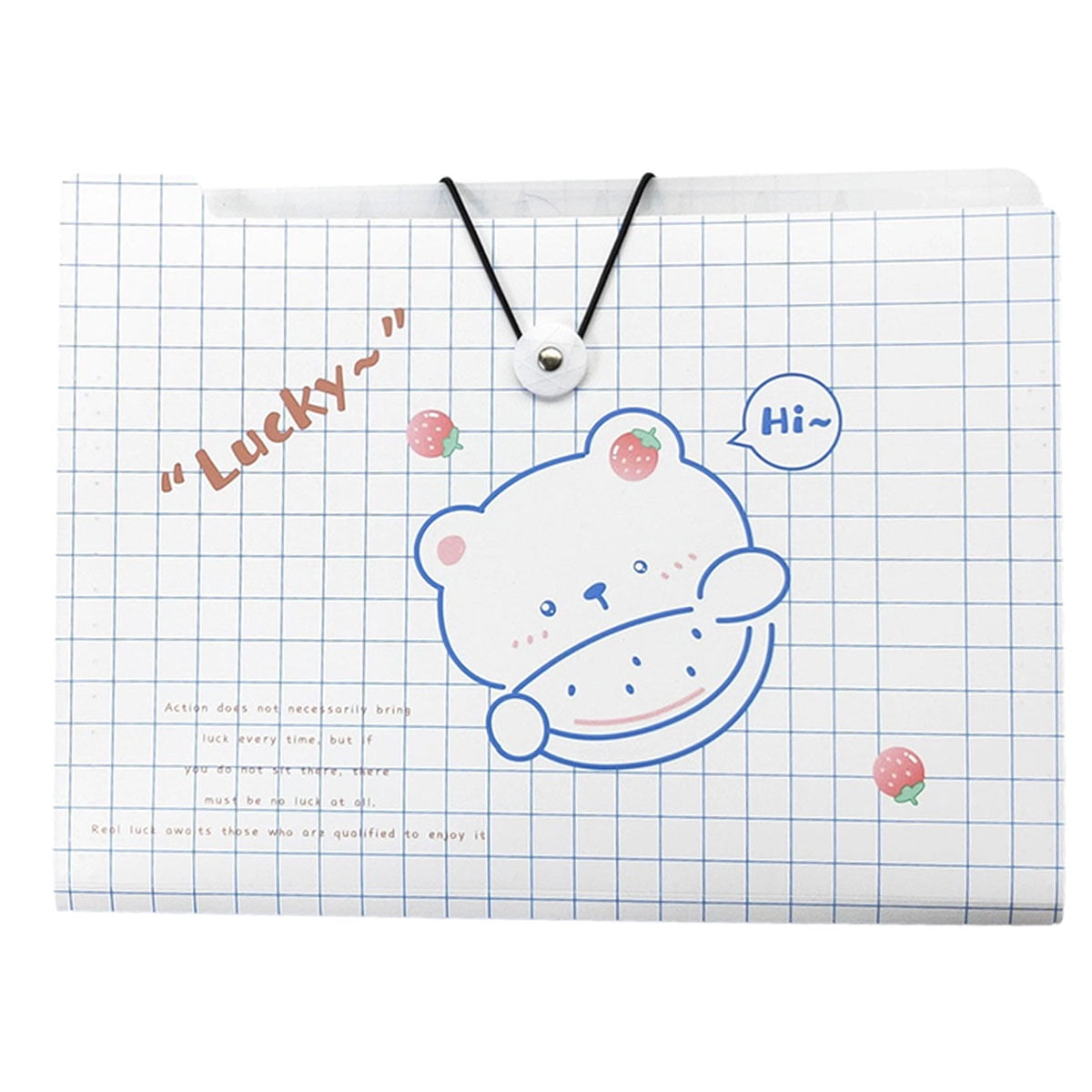 Extension Folder, Accordion folder, suitable for school and office ...