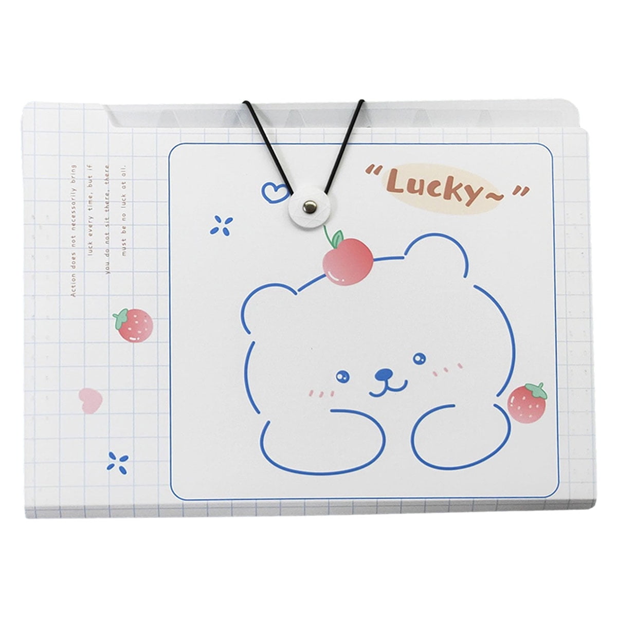 Extension Folder, Accordion folder, suitable for school and office ...