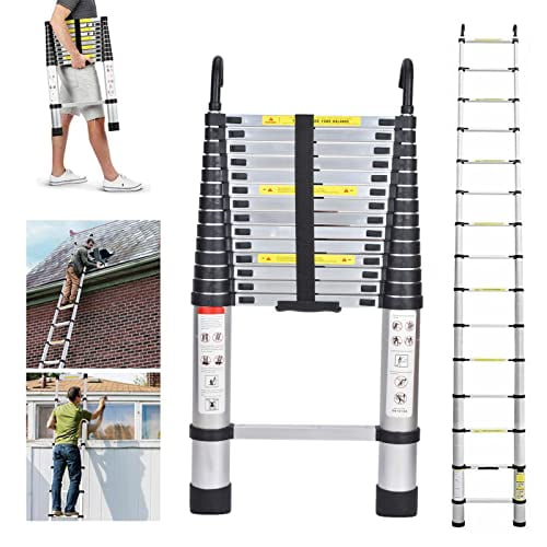 Roof Ladder With Cage