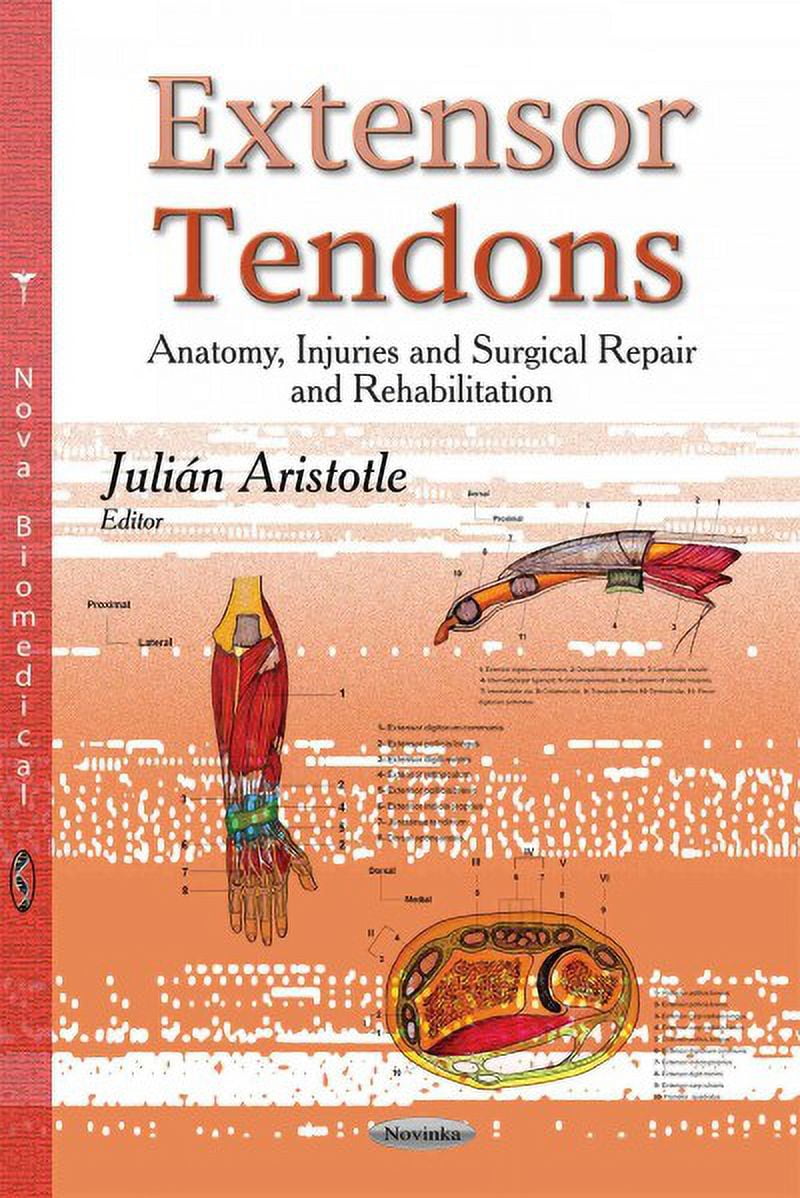 Extensor Tendons : Anatomy, Injuries and Surgical Repair and ...