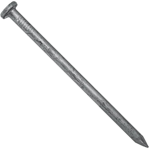 Exterior Hot Dipped Galvanized Common Framing Nail (20d) 5 Pound Box ...