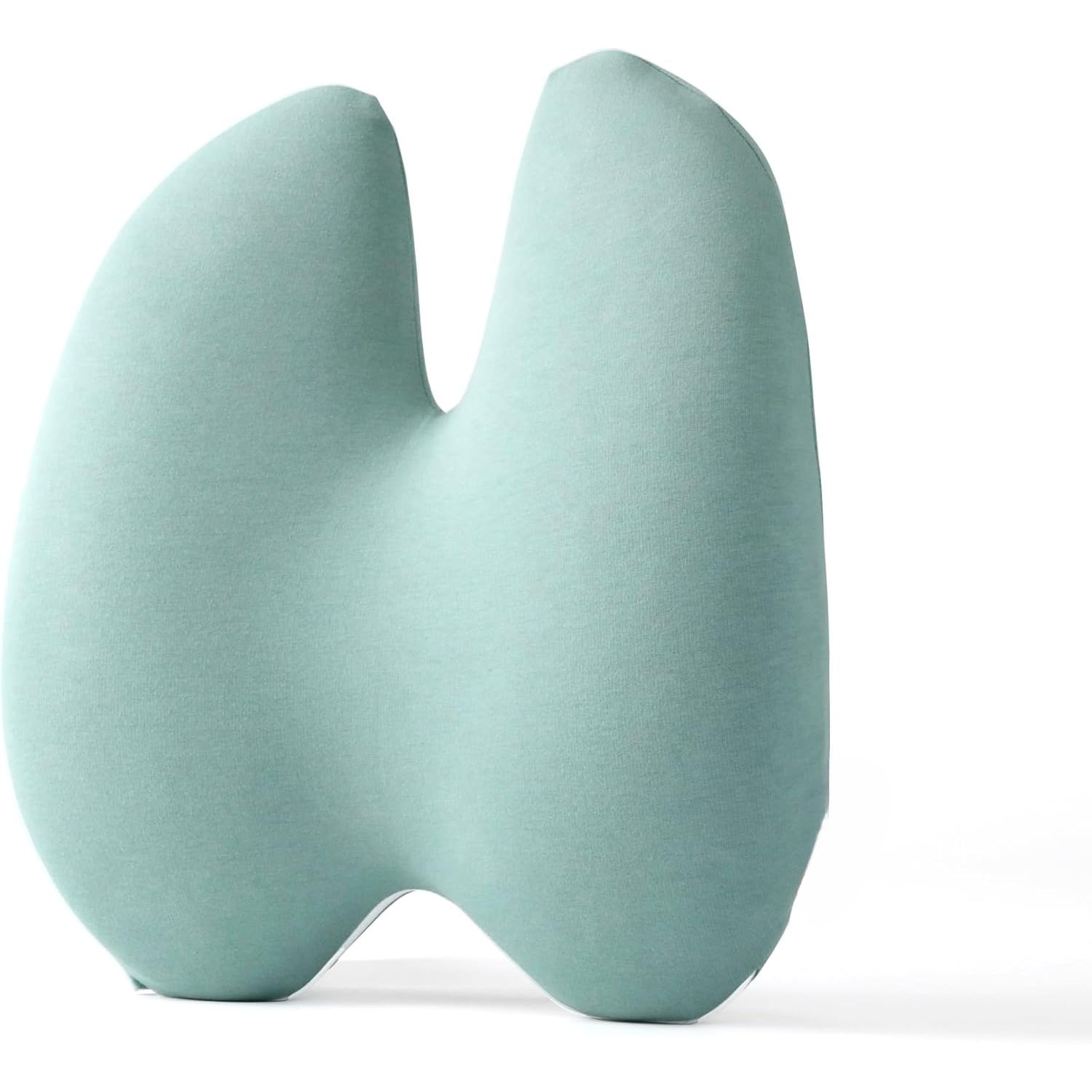 Extra Dense Lumbar Pillow - Patented Ergonomic Multi-Region Firm Back ...
