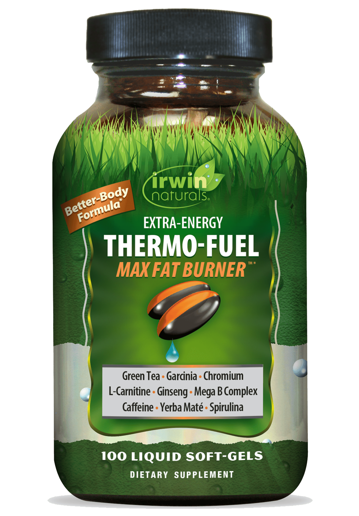 Irwin Naturals Thermo-Fuel Max, Metabolism Booster, Weight Loss ...