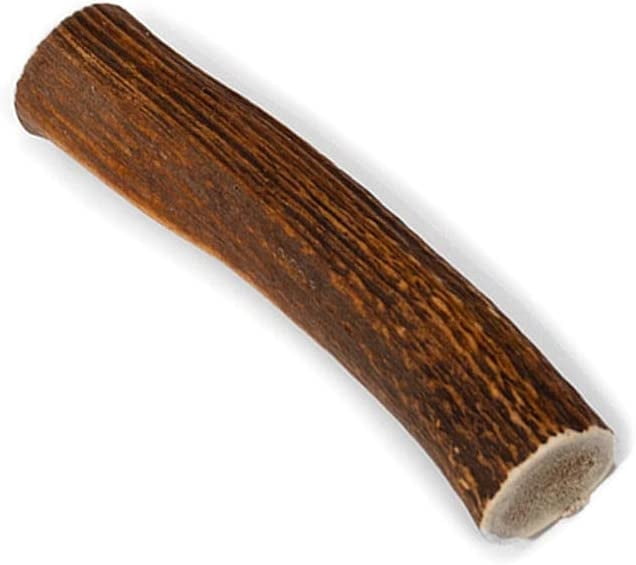 Extra Large 100% Natural Grade A Premium Whole Deer Antler for Dogs ...