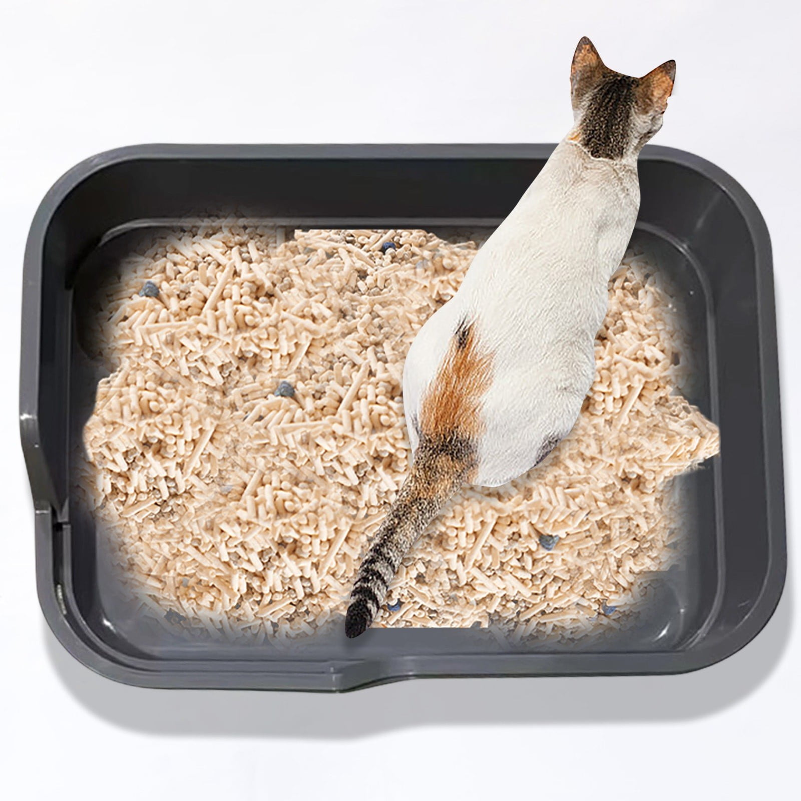 Extra Large Cat Litter Box with High Sides,Cats Boxes for Indoor Cats ...