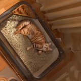 Extra Large Cat Litter Box with High Fence, Spill-Proof Design for ...