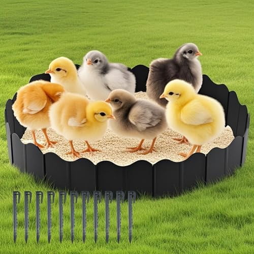 Extra-Large Chicken Dust Bath Tub & Container Kit | 20 Adjustable ...