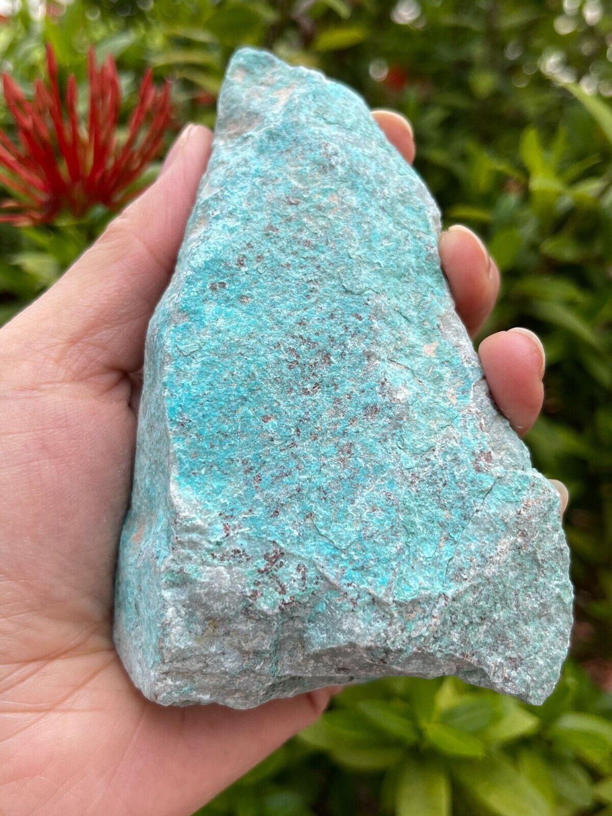 Extra Large Chrysocolla Rough Stones, 3" - 6" Raw Chrysocolla Natural ...