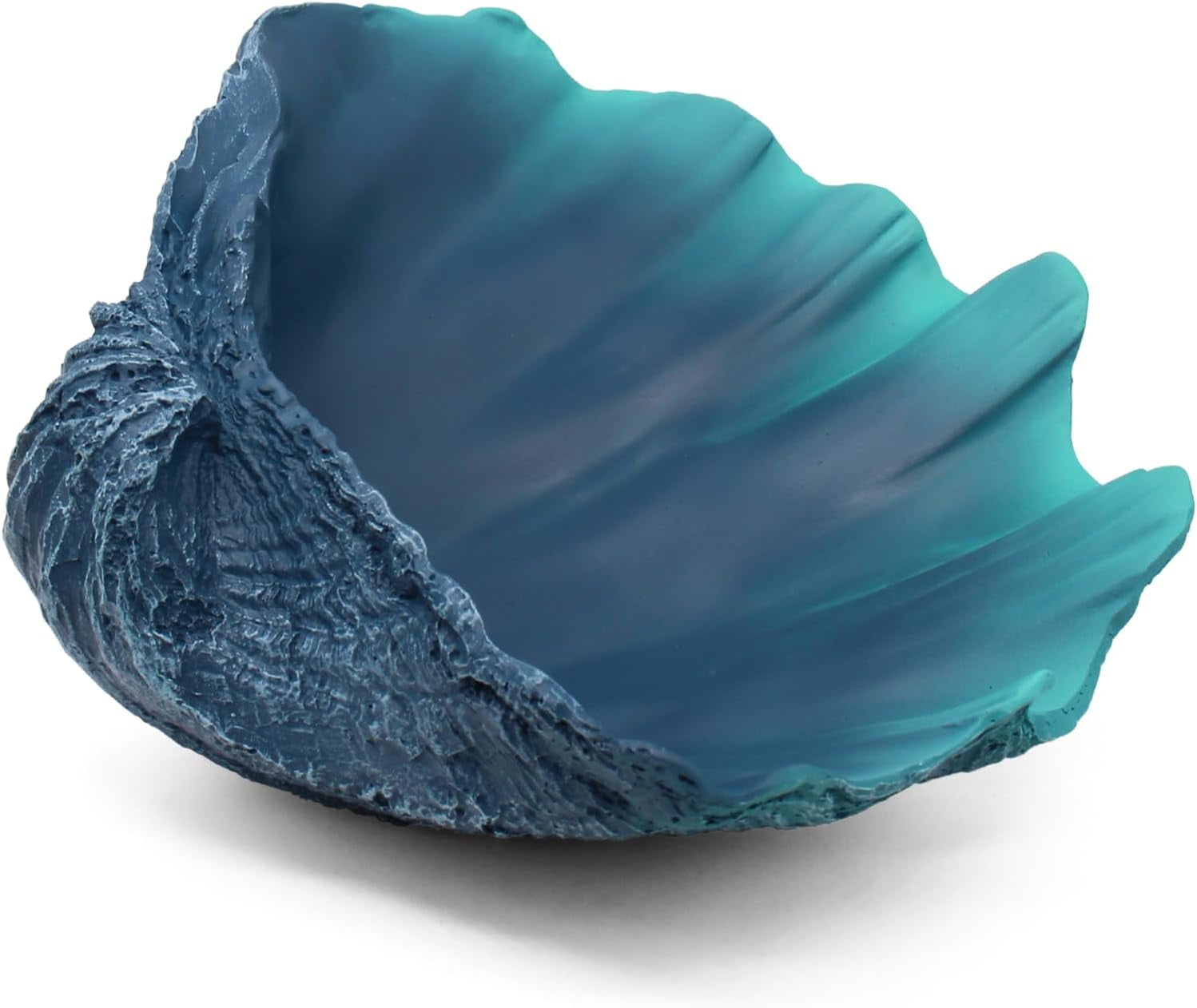 Extra Large Clam Shells Decorative Bowl-Caribbean Blue Sea Shells ...