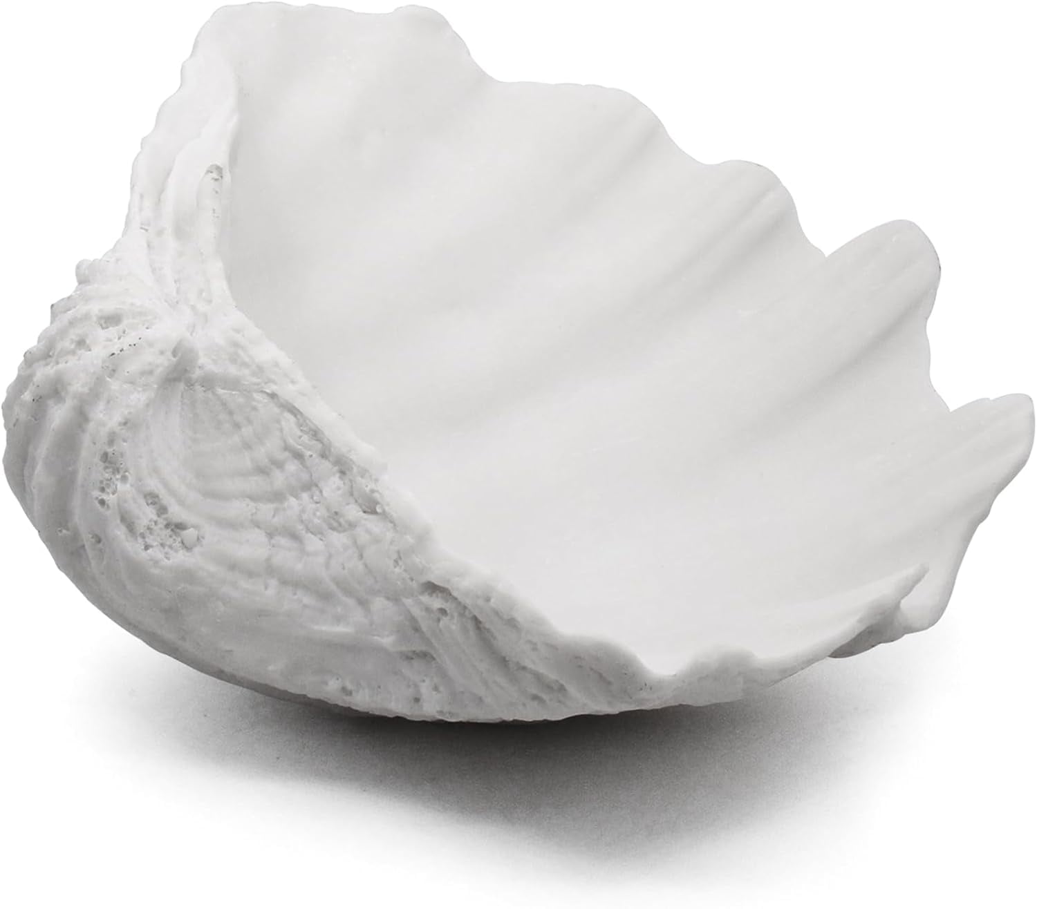 Extra Large Clam Shells Decorative Bowl-Caribbean Blue Sea Shells ...