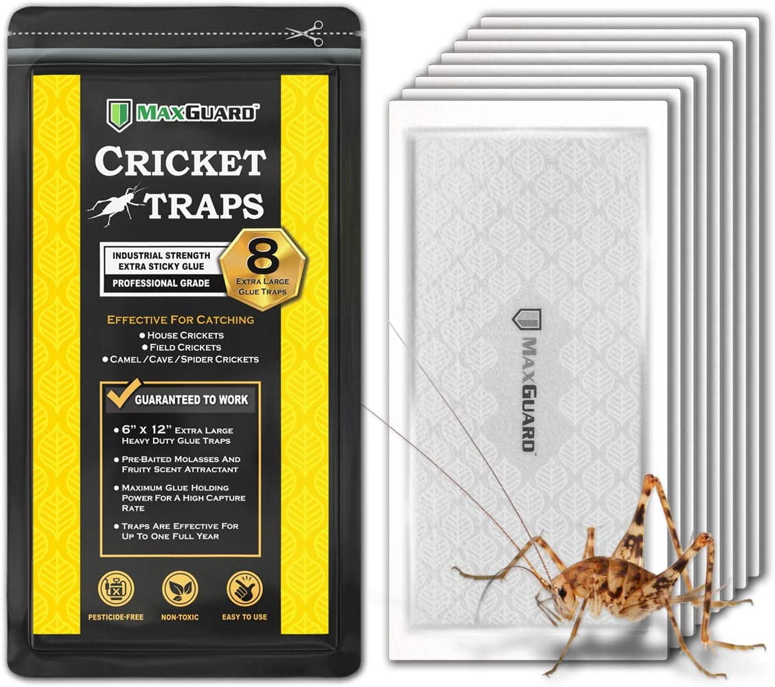 Extra Large Cricket Traps (8 Traps) | Non-Toxic Extra Sticky Glue Board ...