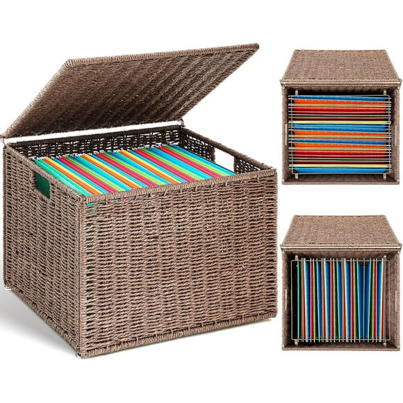 Hanging File Baskets