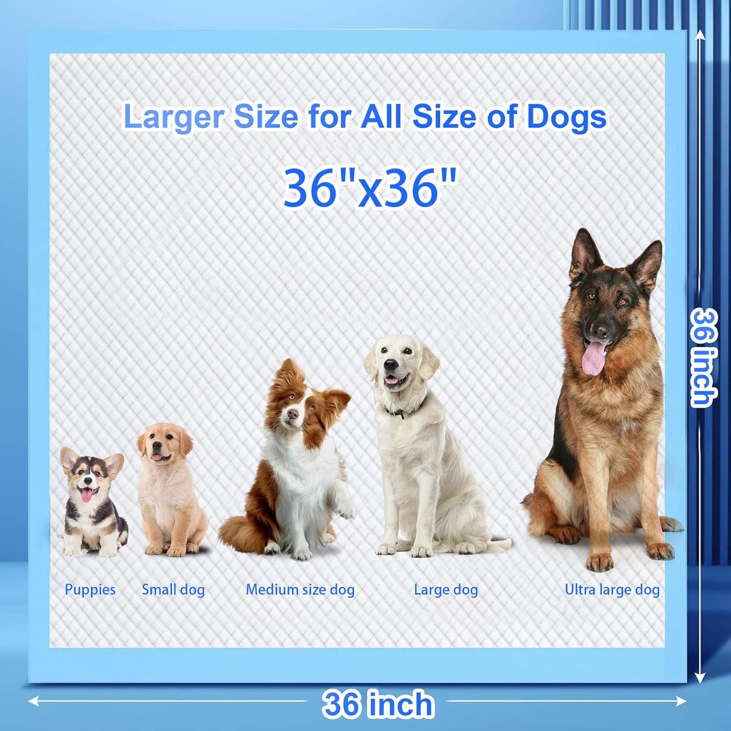 Extra Large Dog Pee Pads 36x36 40 Count, Leak-Proof & Super Absorbent ...