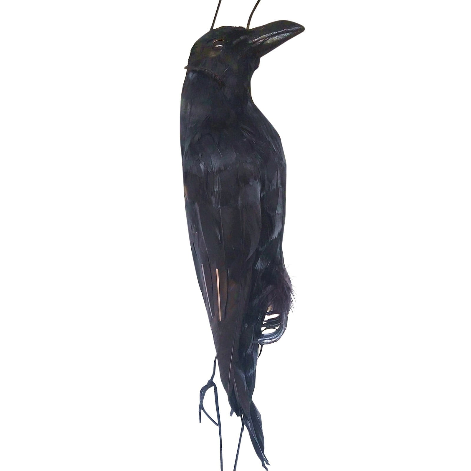 Extra Large Realistic Dead Crow Decoy - 17" Lifesize Hanging Bird ...