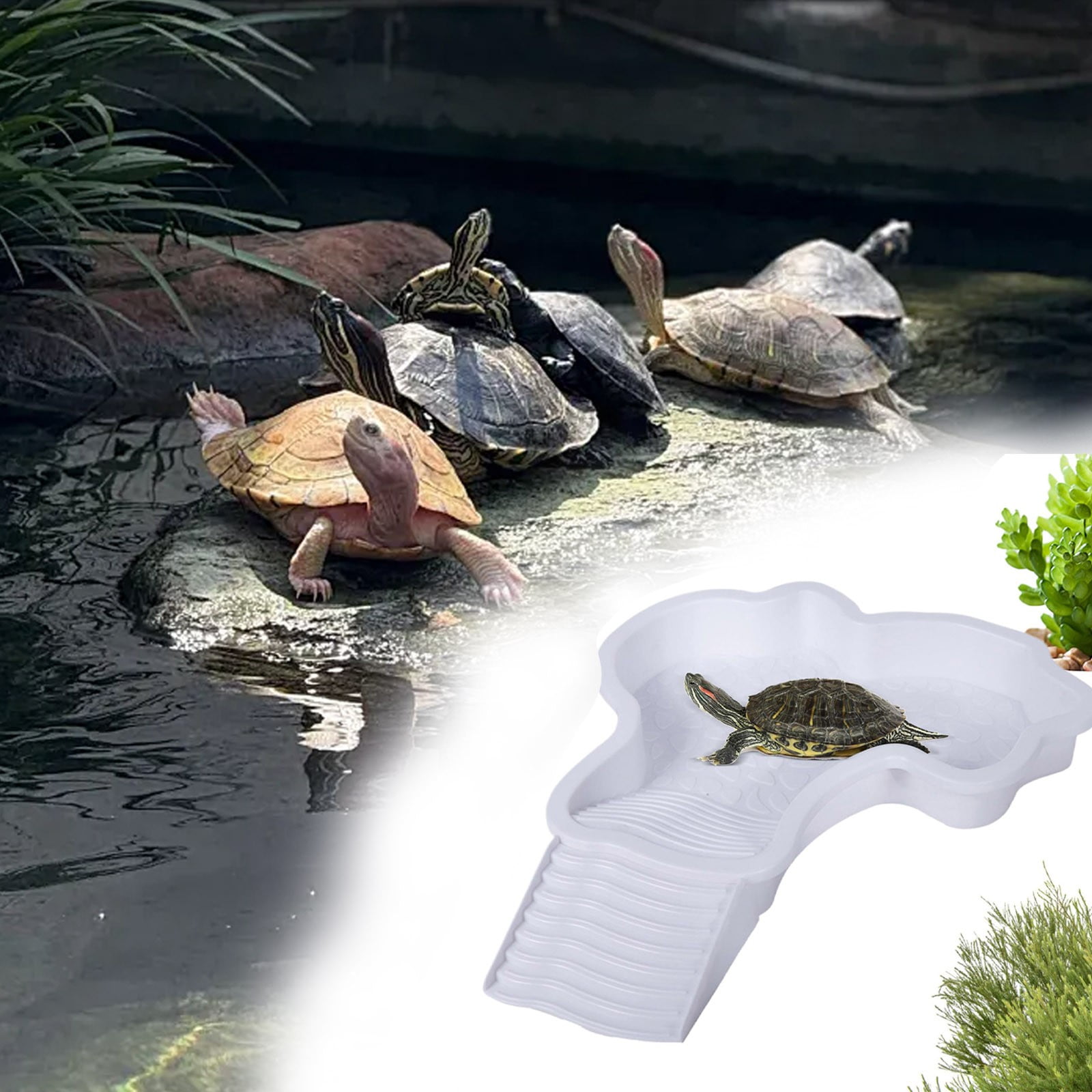 Extra Large Reptile Bathing Pool Reptile Feeding Dish Water Bowl with ...