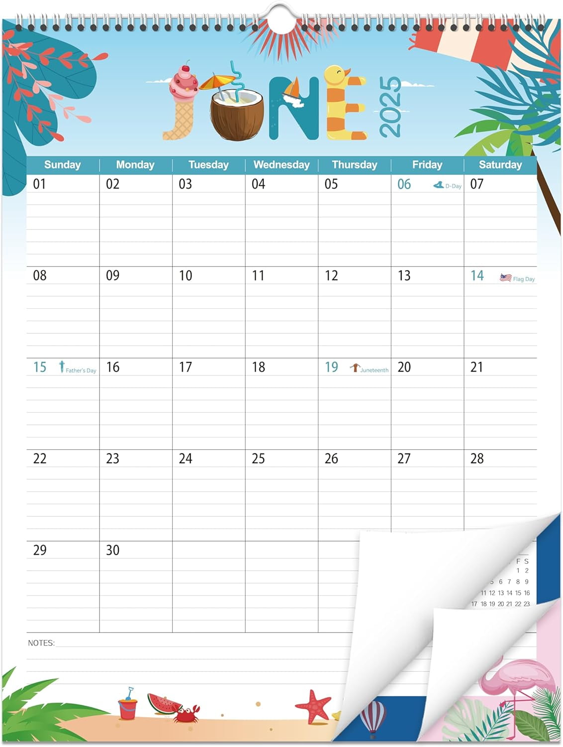 Extra Large Wall Calendar 2025-2026, 19-Month Vertical Wall Calendar ...