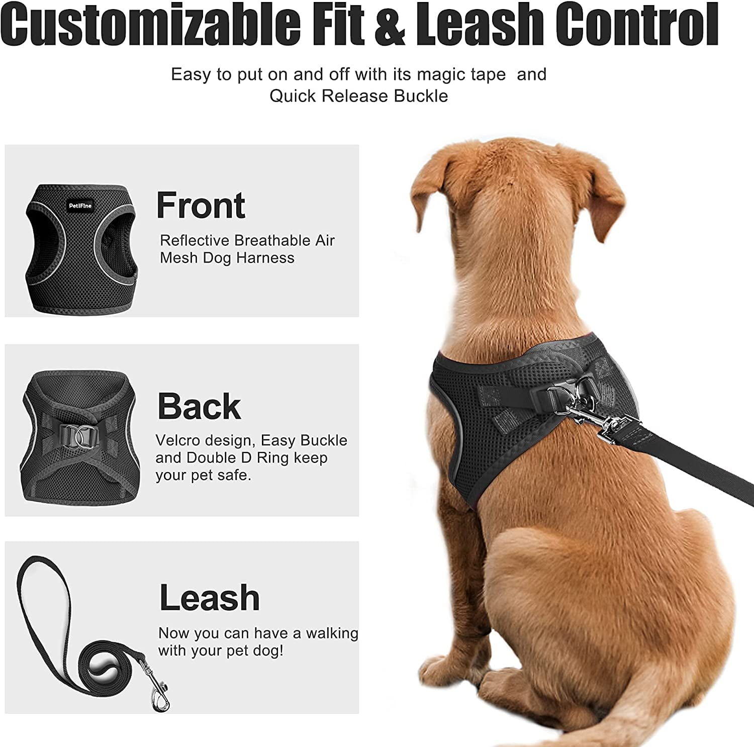 Extra Small Step in Dog Harness and Leash Set, Cat Harness and Leash ...