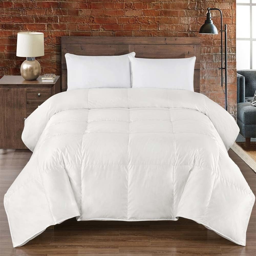 Extra Warm Silk Blended Goose Down Comforter (Full-Queen, 90x90) 48 ...