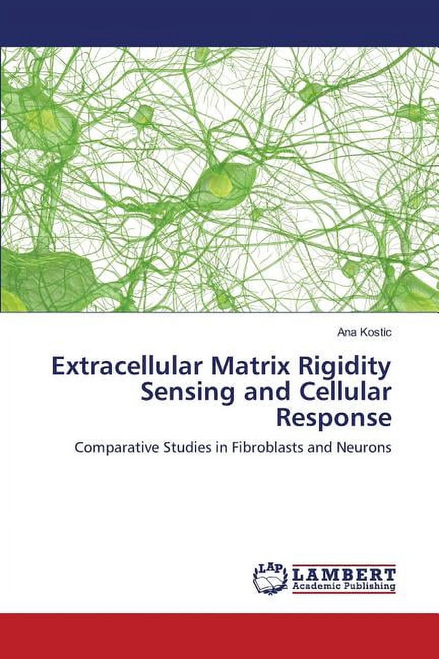 Extracellular Matrix Rigidity Sensing and Cellular Response (Paperback ...