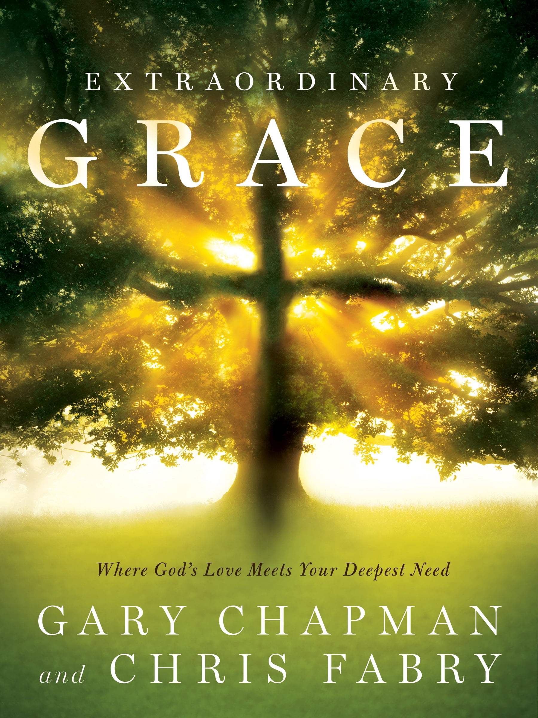 Extraordinary Grace : How the Unlikely Lineage of Jesus Reveals God's ...