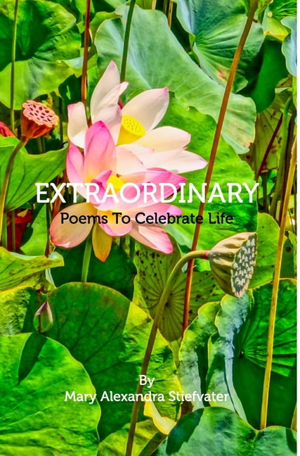 Extraordinary: Poems To Celebrate Life, (Hardcover) - Walmart.com