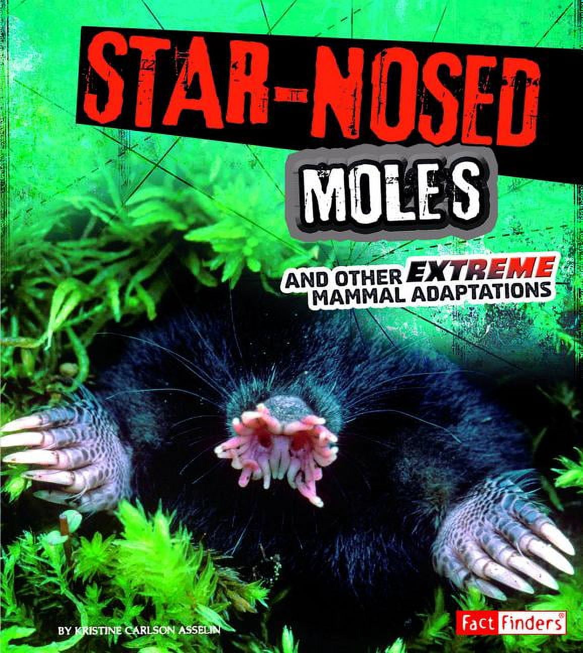 Extreme Adaptations: Star-Nosed Moles and Other Extreme Mammal ...